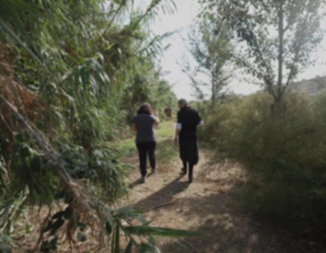 Matrix Cultura 2050 · Terres de l'Ebre | Agenda Cultural Gencat